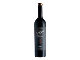 VINO CAFAYATE RESERVA MALBEC 750 CC